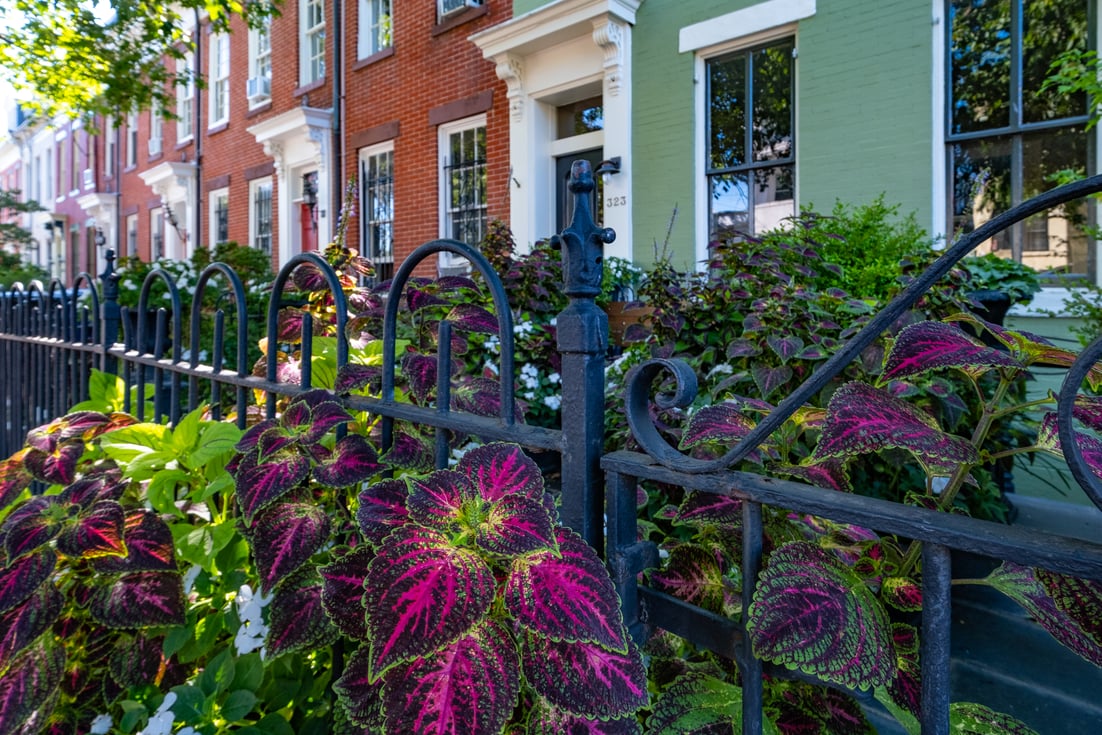 The History of Old Brick in the Nation's Capitol