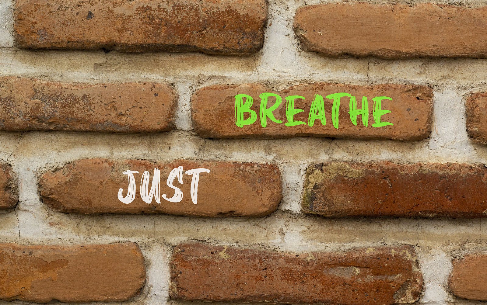 Breathing Walls: Why Historic Brick Needs Proper Porosity to Survive