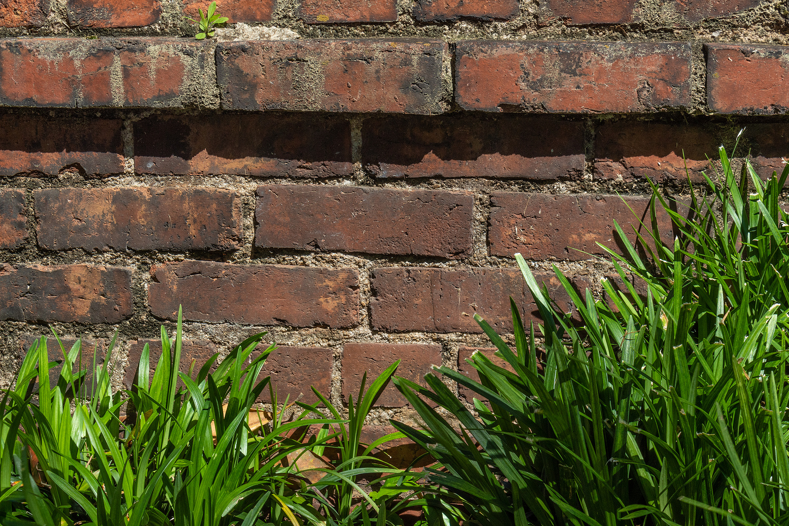 Retaining Walls: The Unsung Heroes of Historic D.C. Properties